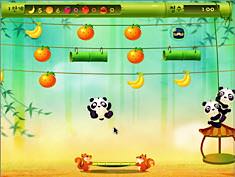 PANDA FRUIT onlinespel | POMU Spel